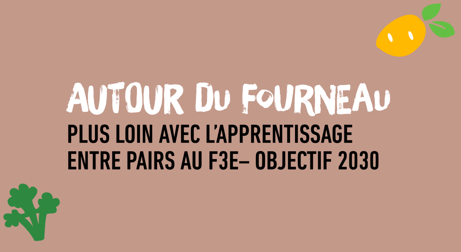 Aller plus loin avec l'apprentissage entre pairs - Objectif 2030 - F3E